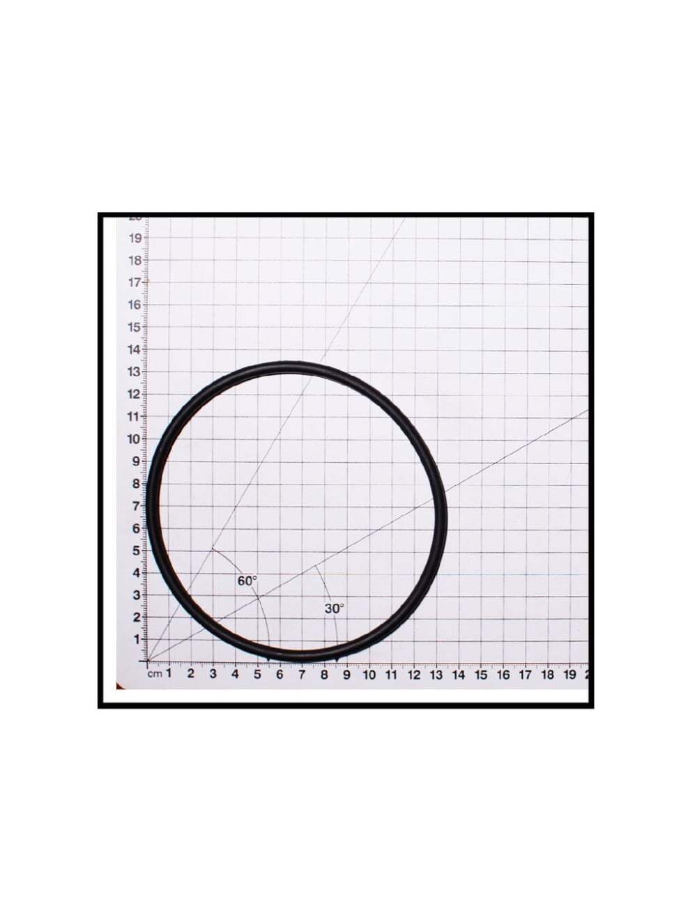 Bio Filter Union O-Ring | The Pool Team